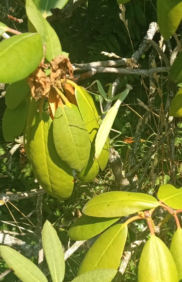 Lummi Island Wine Tasting - Artisan Wine Gallery