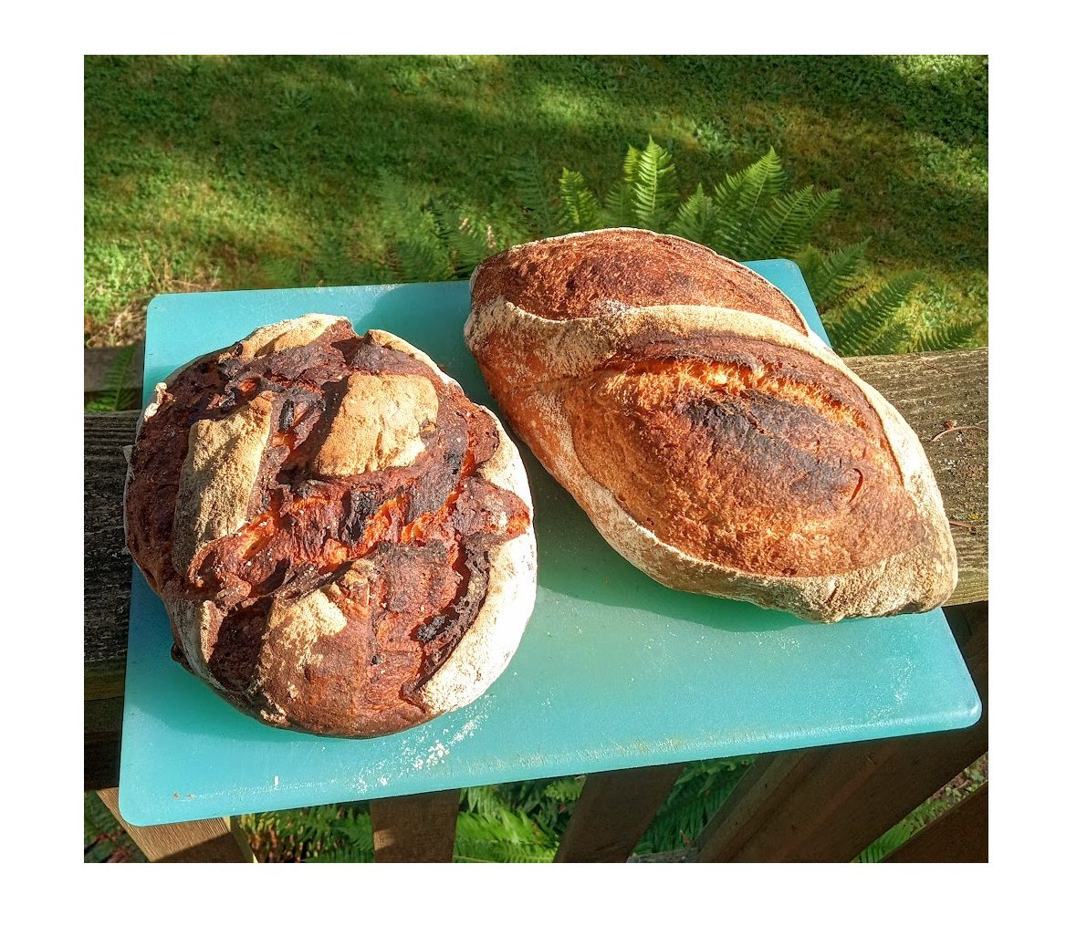 Lummi Island Wine Tasting - Artisan Wine Gallery